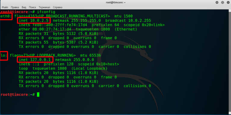 #1 Kali Linux для начинающих. Урок 1 — Основы сетей. - Этичный хакинг с Михаилом Тарасовым (Timcore)