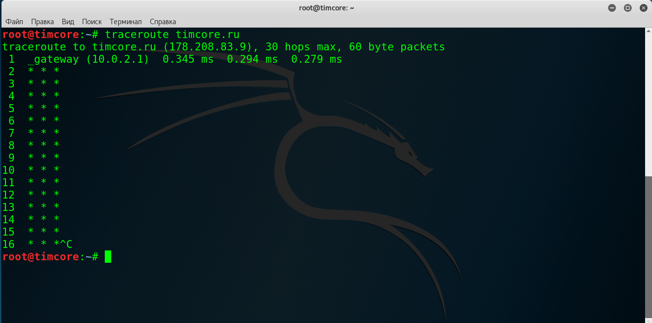 #1 Kali Linux для начинающих. Урок 1 — Основы сетей. - Этичный хакинг с Михаилом Тарасовым (Timcore)