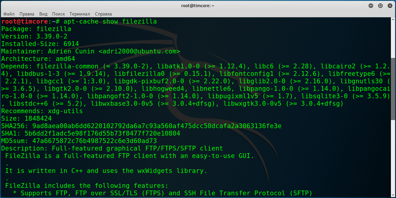 #16 Kali Linux для начинающих. Управление пакетами. - Этичный хакинг с Михаилом Тарасовым (Timcore)